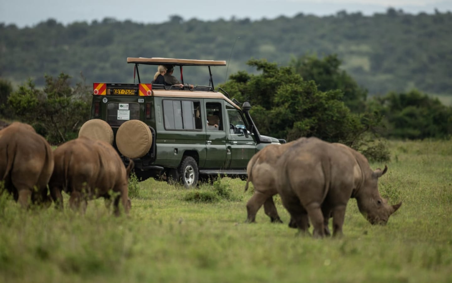 Discover Kenya – Best and Authentic Safaris in Kenya