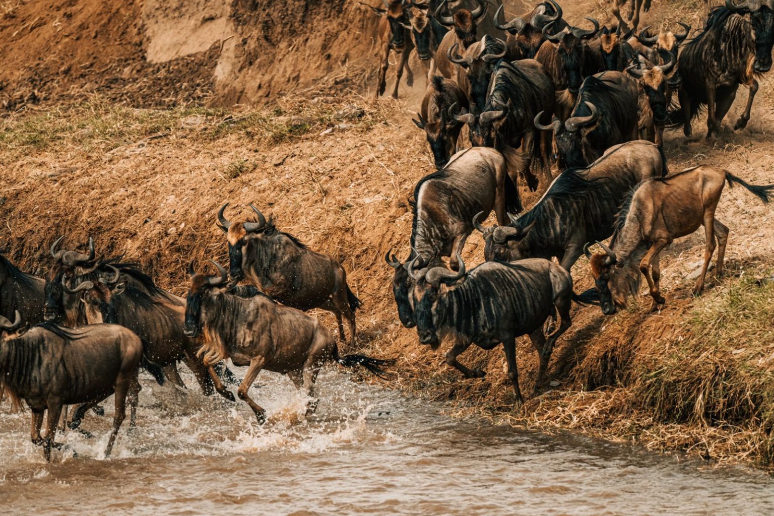 Experience African Luxury Safaris and Tours